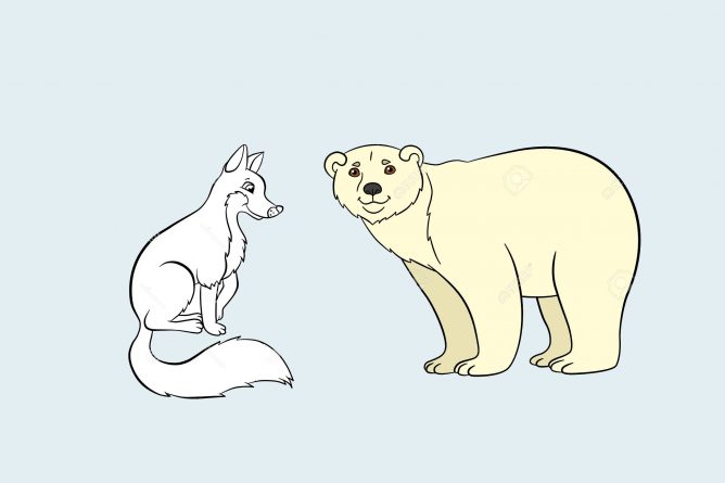 ¿Por qué los osos polares no tienen cola? Una bonita historia del oso polar